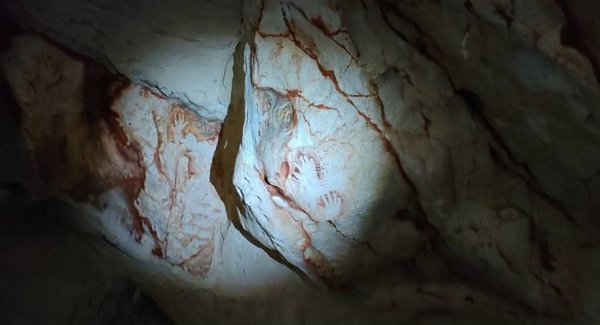 Suite de l'aventure sous-marine des animaux de la Grotte COSQUER avec ...